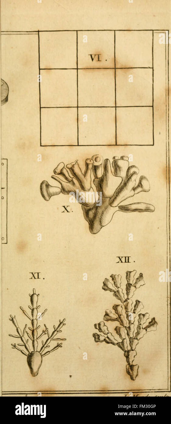 Importance of microscopic observation in biology hi-res stock ...