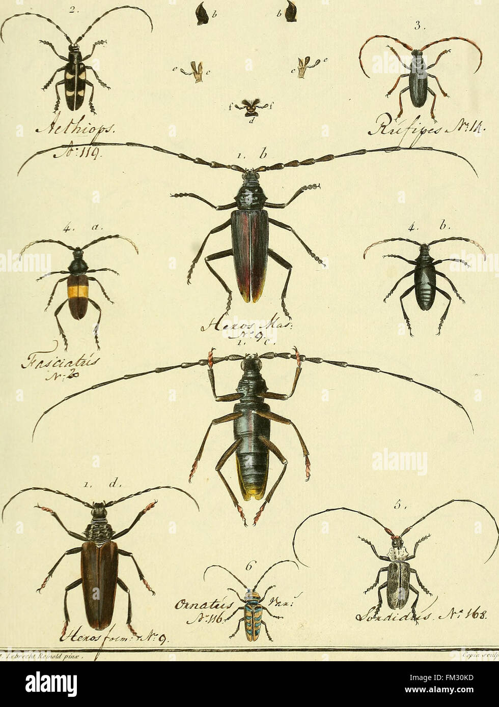 'Entomologie' (1789) is a detailed study of insects, describing their ...
