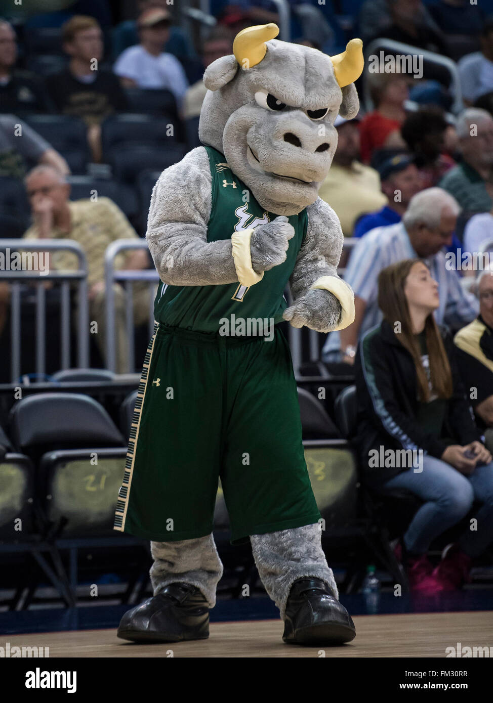 Before his first bull hi-res stock photography and images - Alamy