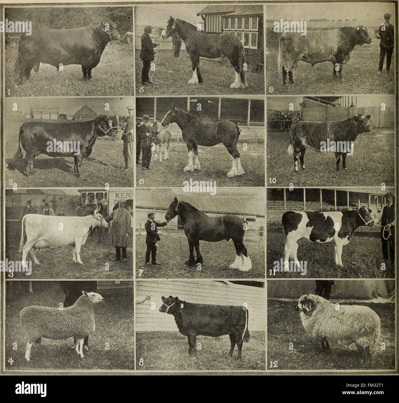 A comprehensive volume of the 'Farmer's Magazine' from 1920, providing ...