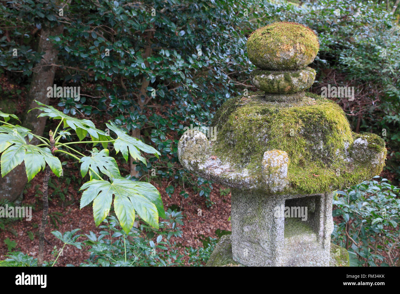 Shisendo temple japan hi-res stock photography and images - Alamy