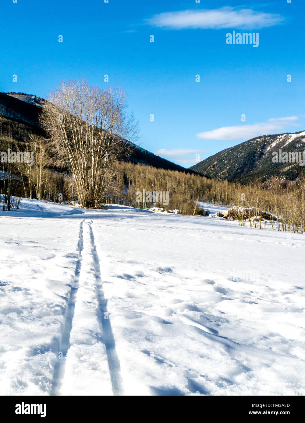 Single pair of cross country ski tracks under a blue winter sky Stock ...