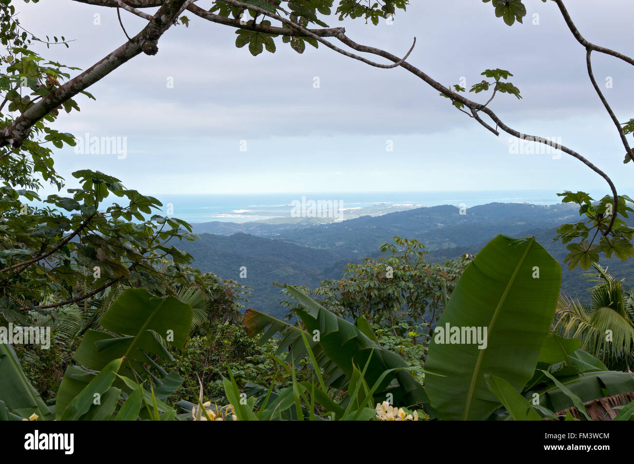 Aerial view puerto rico hi-res stock photography and images - Alamy