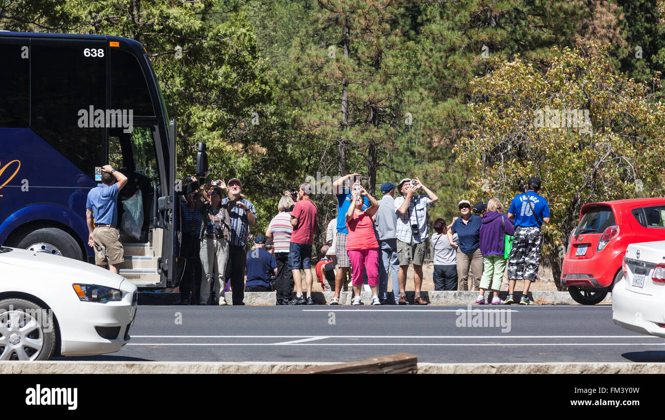 Tourists in Yosemite Valley taking in the view of the spectacular ...