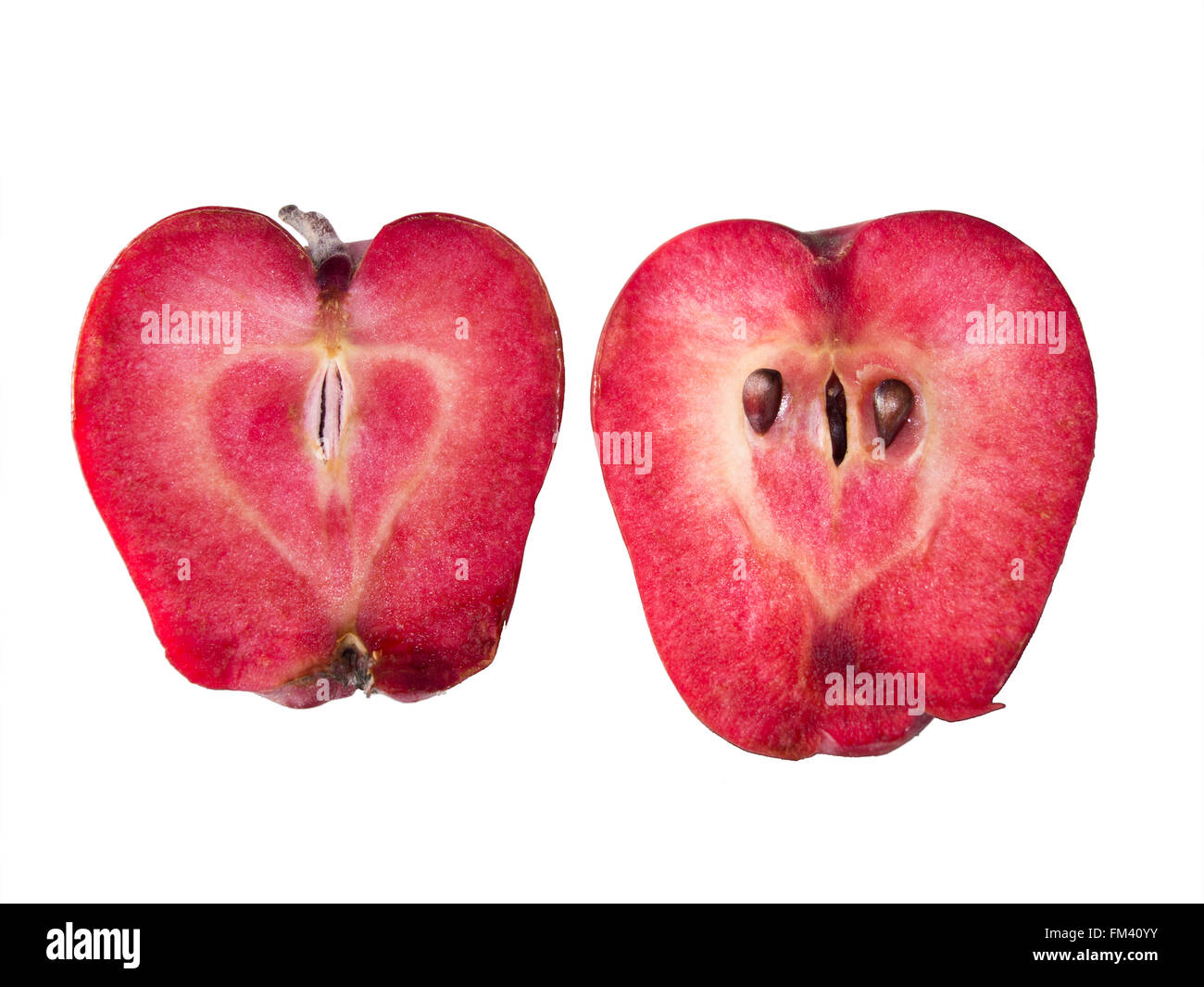 Heart Of The Apple Stock Photo - Alamy