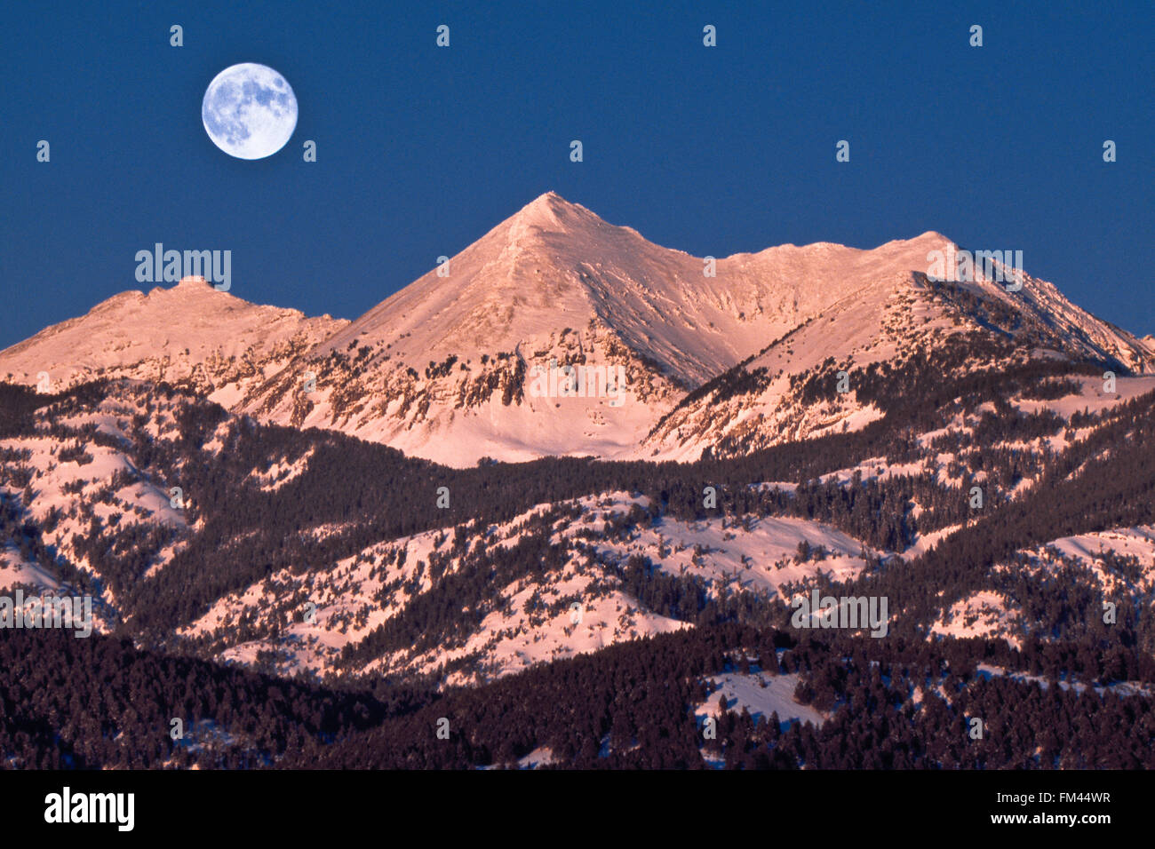 Crazy moon hi-res stock photography and images - Alamy