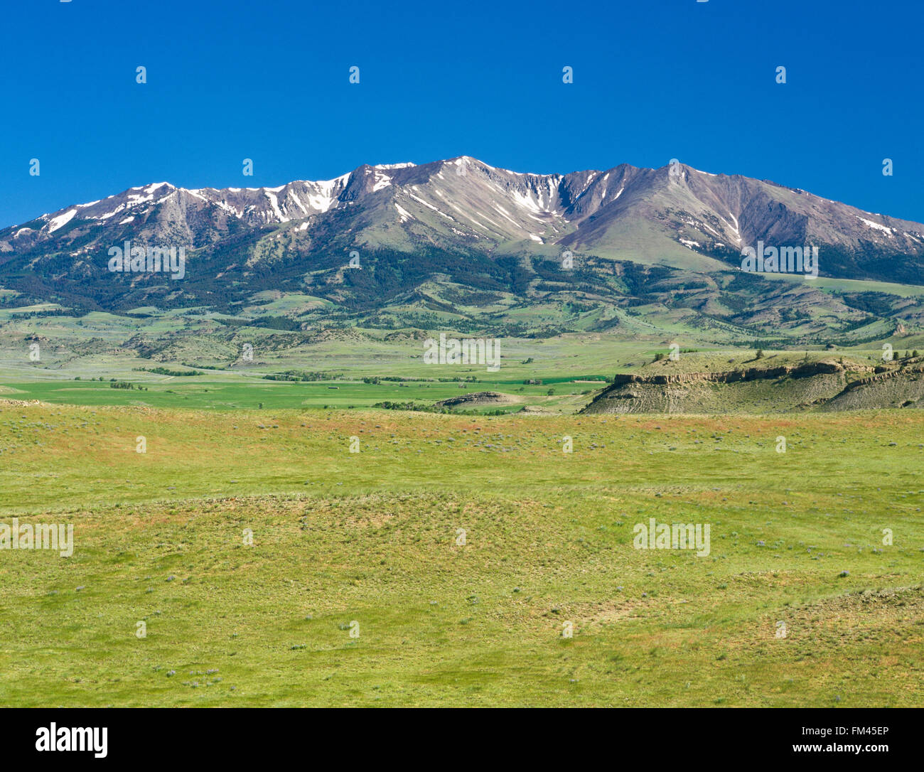 Springdale Mountains High Resolution Stock Photography and Images - Alamy