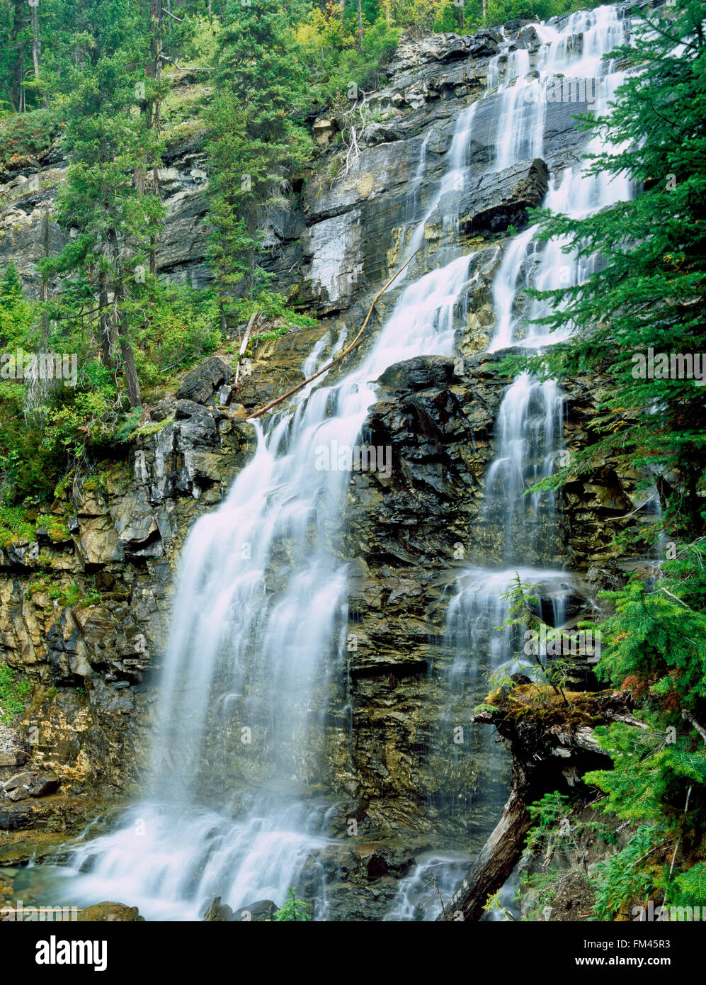morrell falls in lolo national forest near seeley lake, montana Stock ...