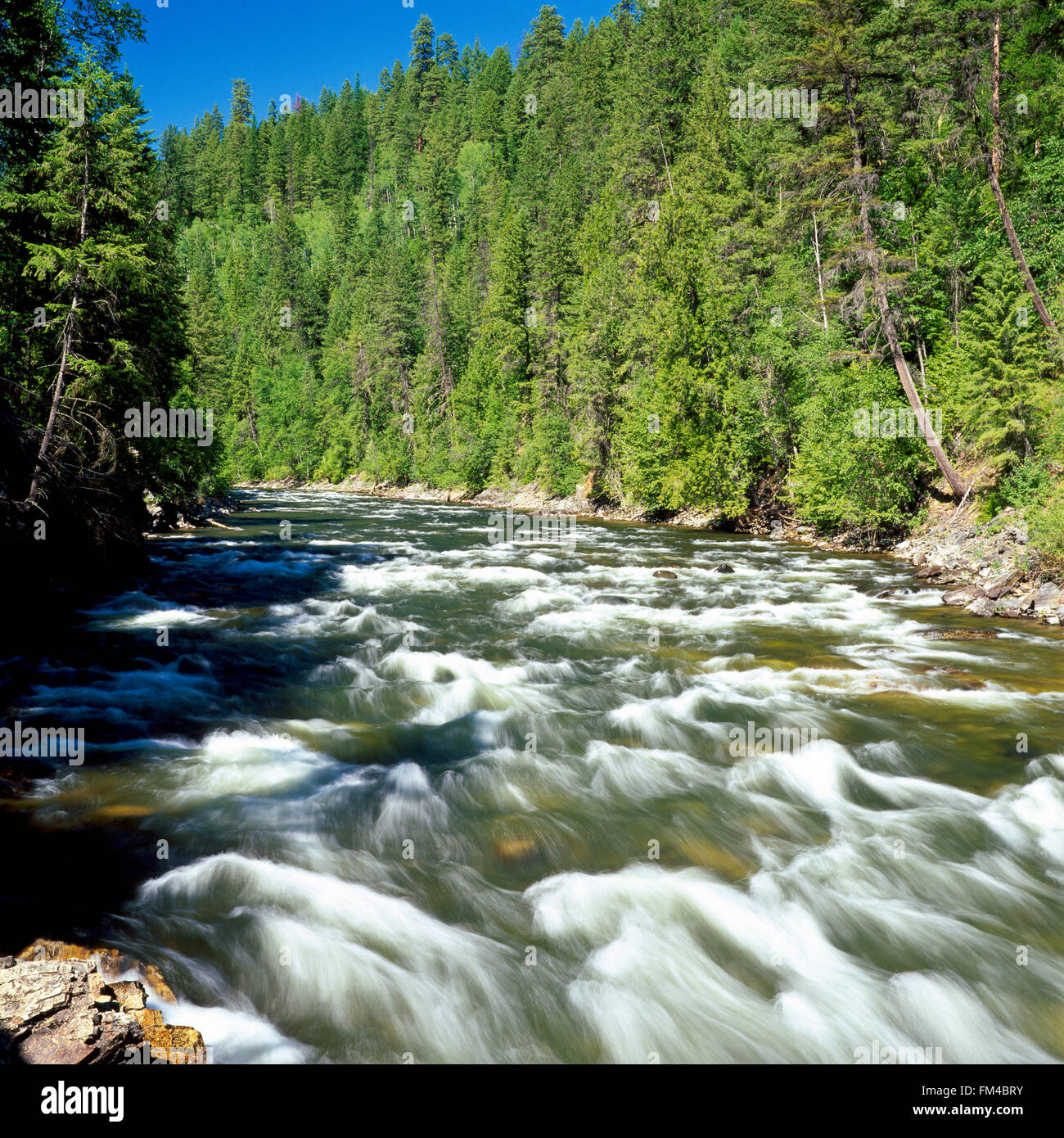 Yaak hi-res stock photography and images - Alamy