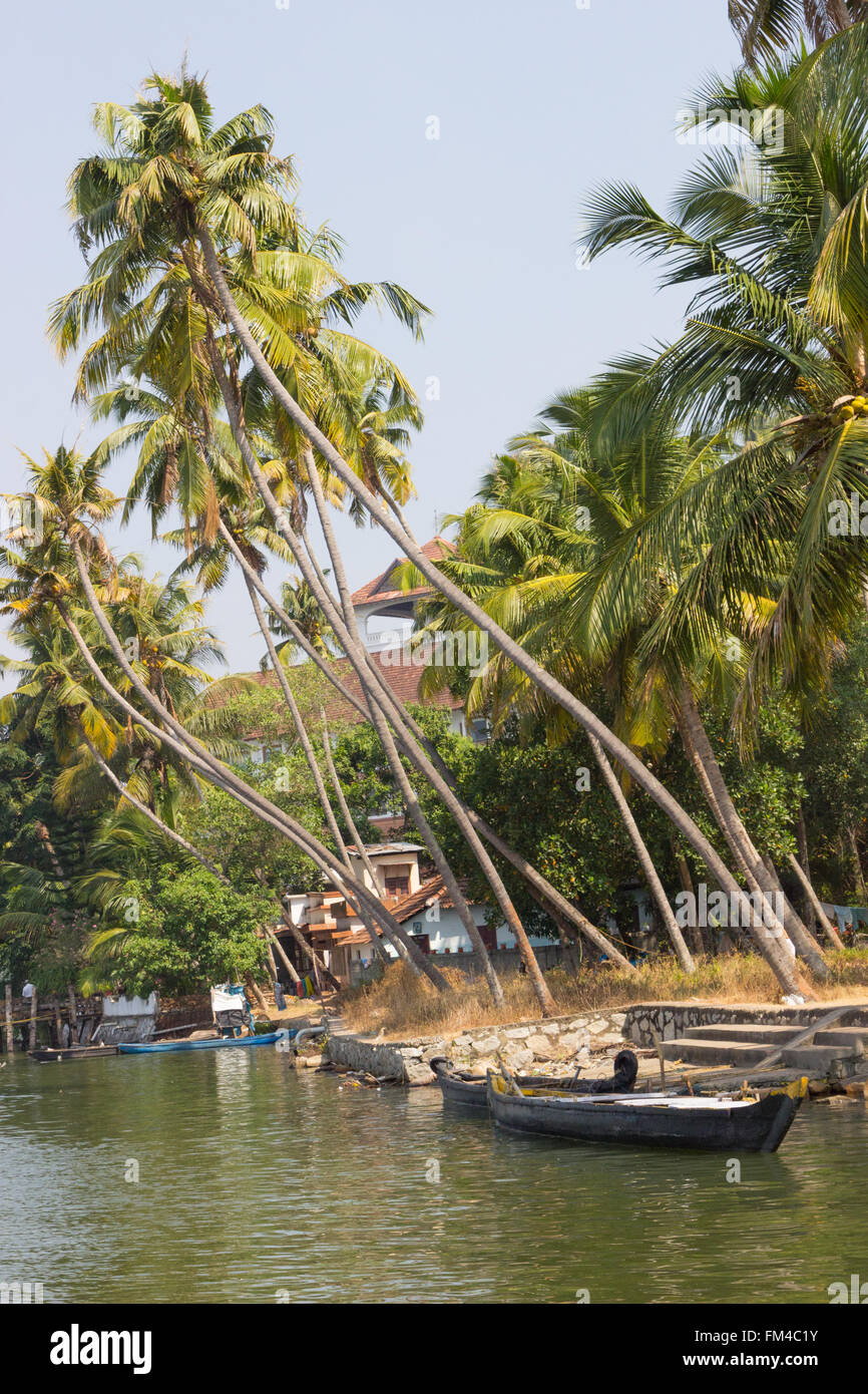 Ashtamudi lake hi-res stock photography and images - Alamy