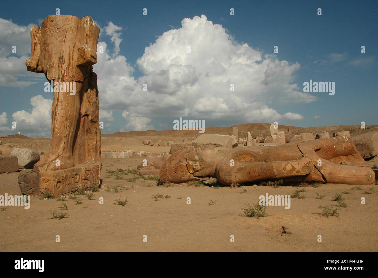 Colossus of Ramesses II at the ancient temple site of Tanis known to ...