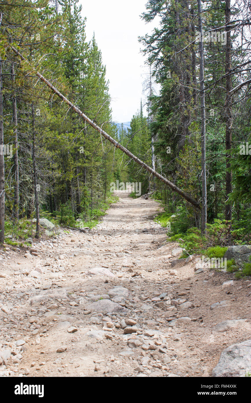 4x4 off road trail hi-res stock photography and images - Alamy