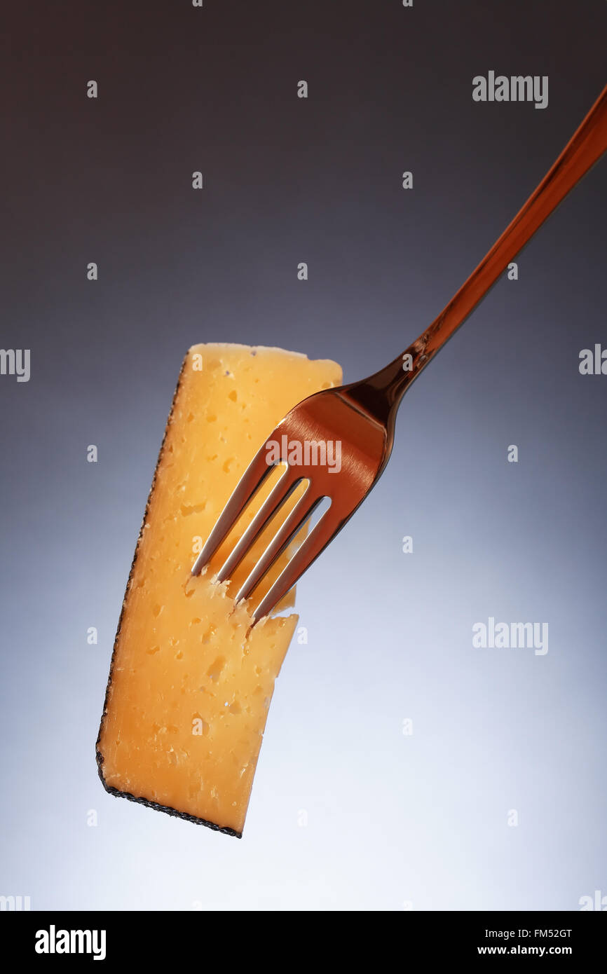 Piece of hard cheese on fork against nice gray background Stock Photo ...