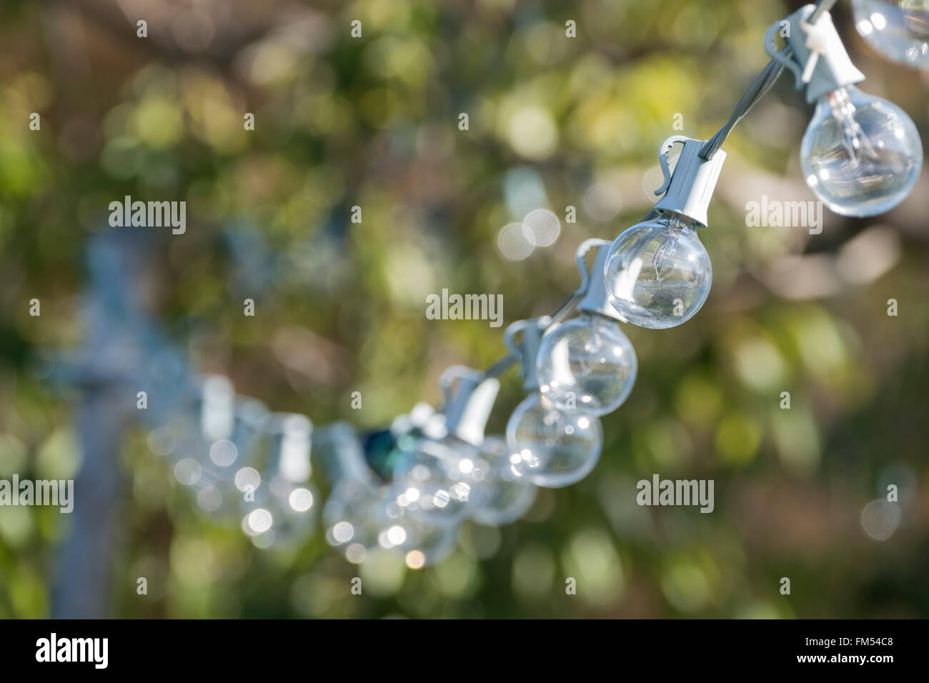 Lightbulbs hanging outdoor with sunshine, Los Angeles, California Stock ...