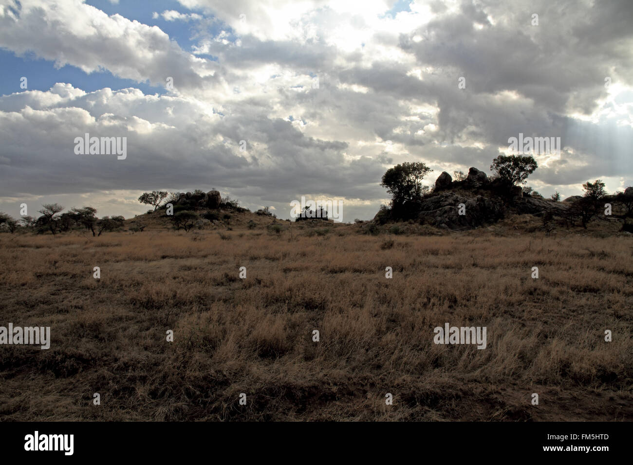 Kopjes hi-res stock photography and images - Alamy