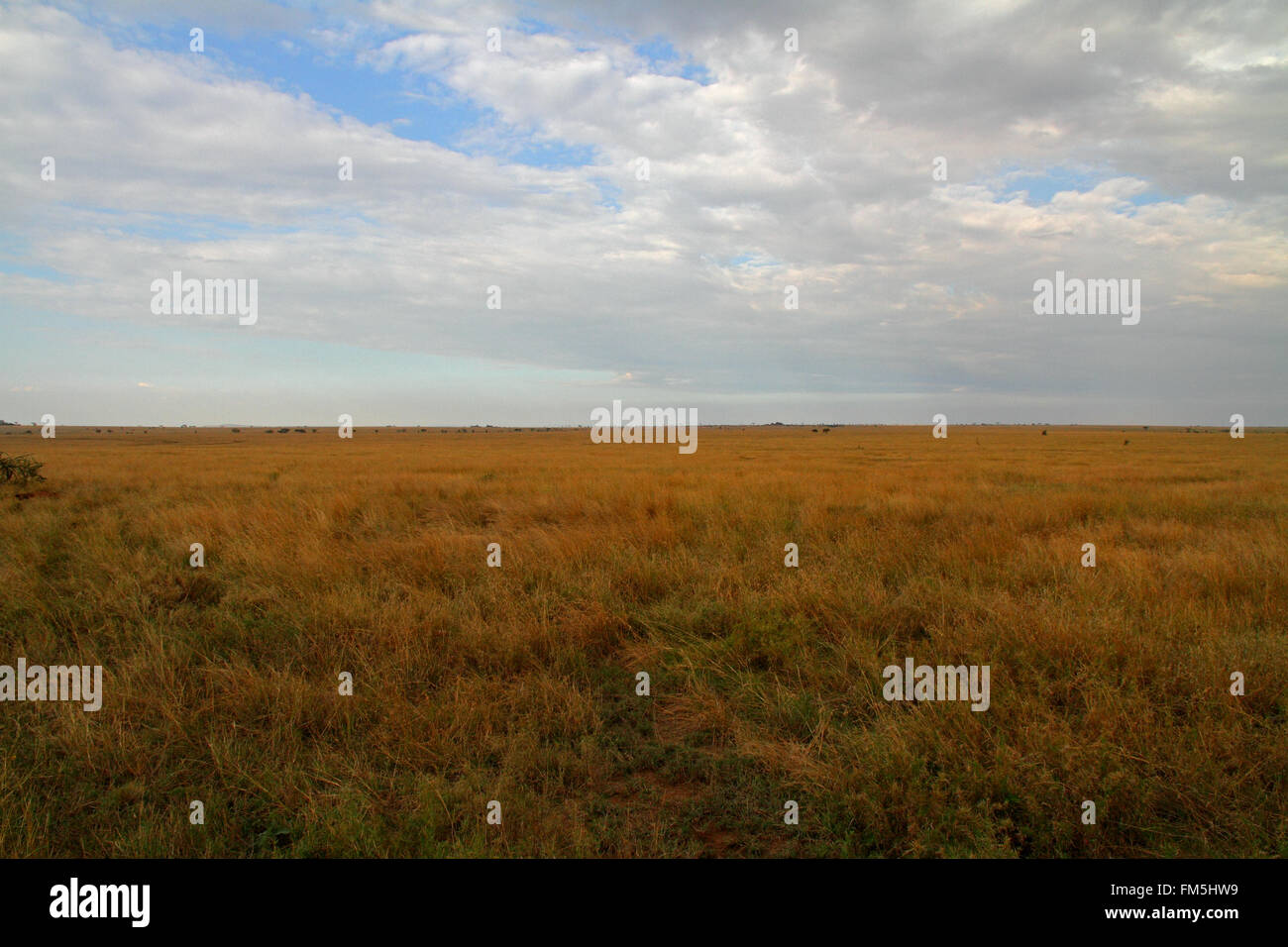 Vast open plains hi-res stock photography and images - Alamy