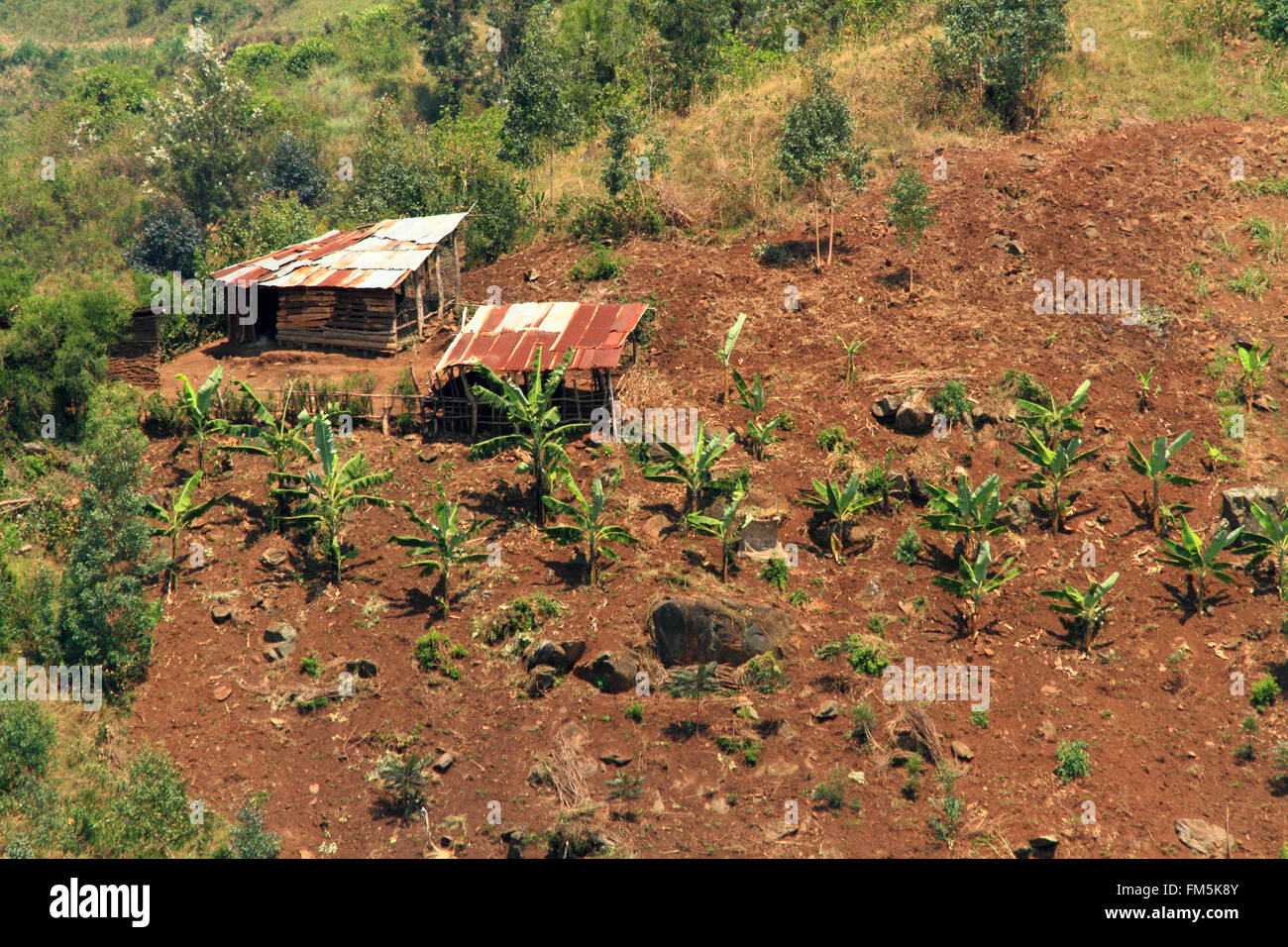 A very small country farm on a hill growing crops and with a small pen ...