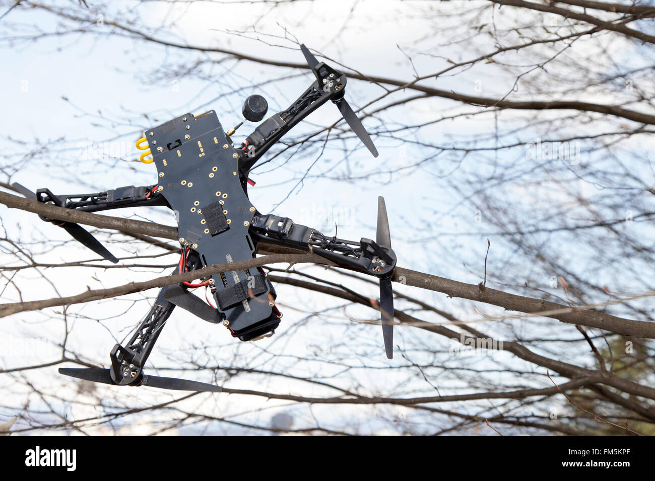 Drone quadcopter crashed on tree in city park Stock Photo - Alamy