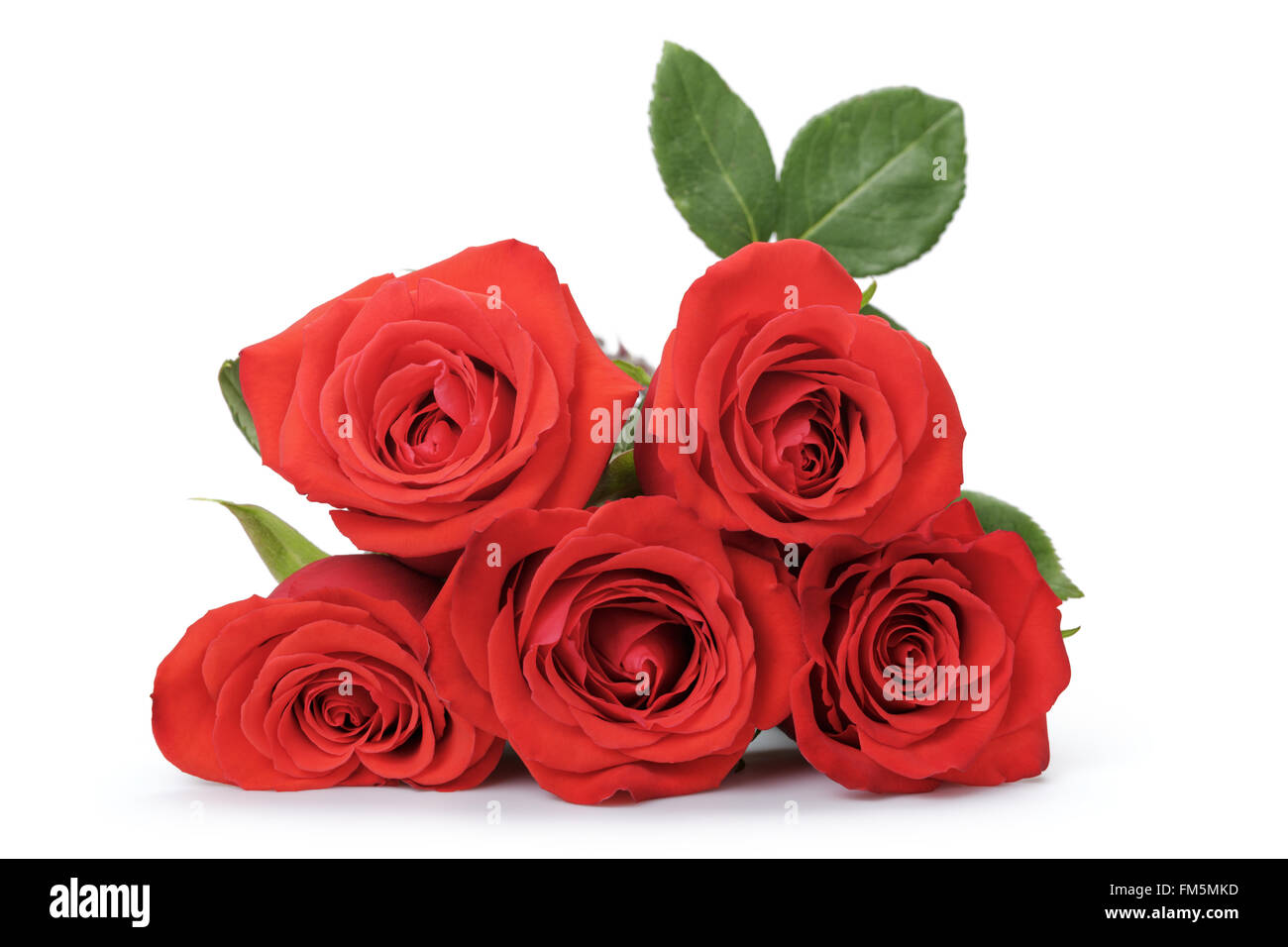 five bright red roses isolated on white Stock Photo - Alamy
