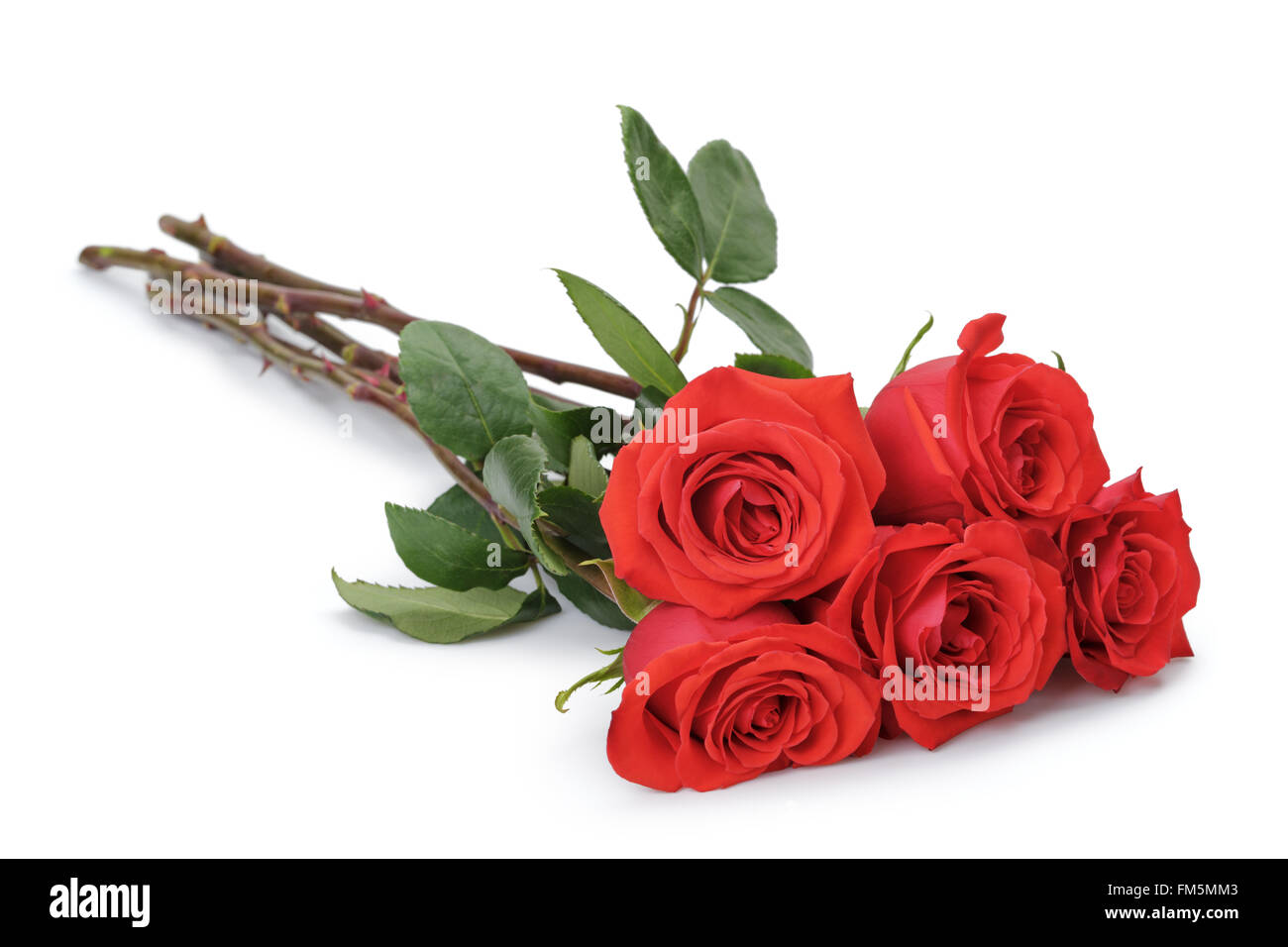 five bright red roses isolated on white Stock Photo - Alamy