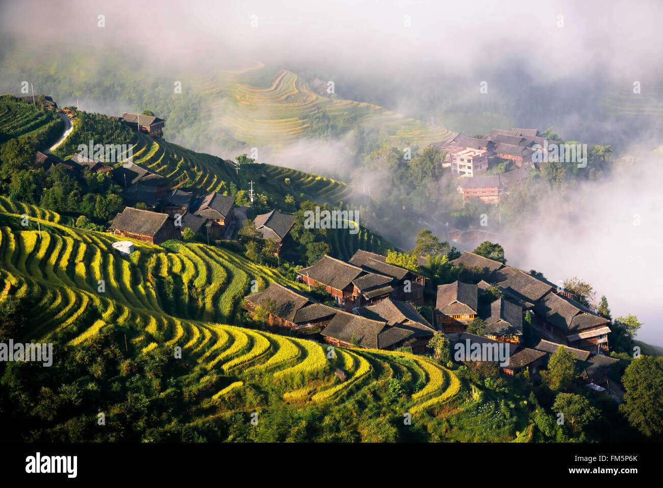 Longji, Longji, CHN. 11th Mar, 2016. Longji, CHINA - March 10 2016 ...