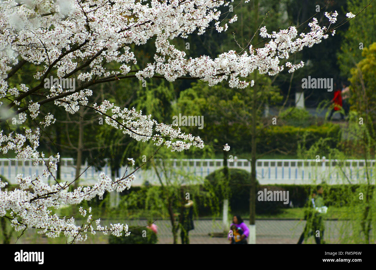 Yichang, Yichang, CHN. 11th Mar, 2016. YIchang, CHINA - March 11 2016 ...