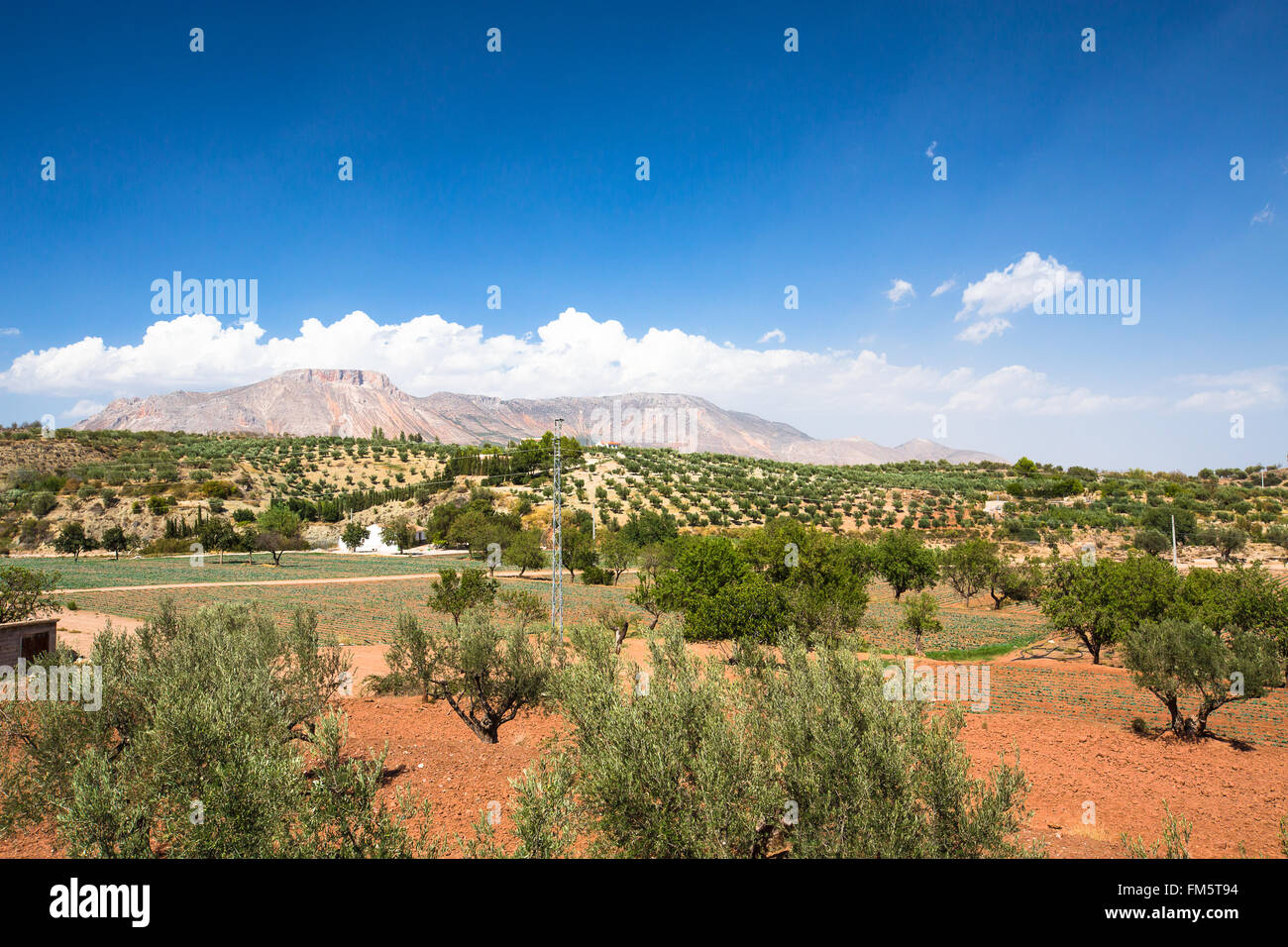 Nature of Spain, rural landscape Stock Photo - Alamy