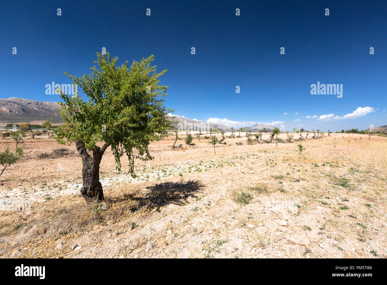 Nature of Spain, rural landscape Stock Photo - Alamy