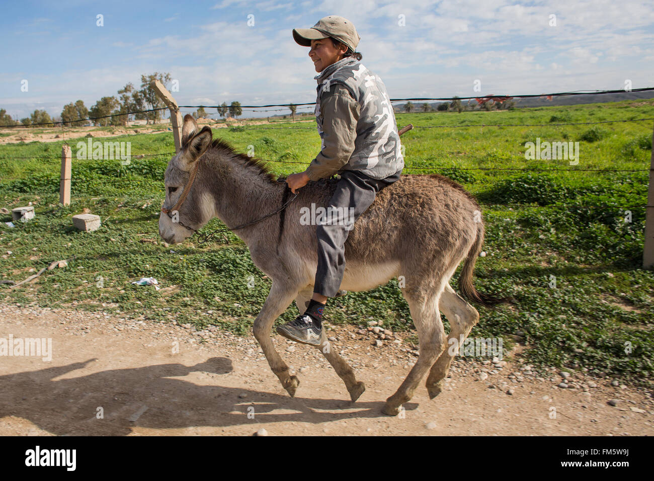 Boy riding a donkey in Northern Iraq Stock Photo - Alamy