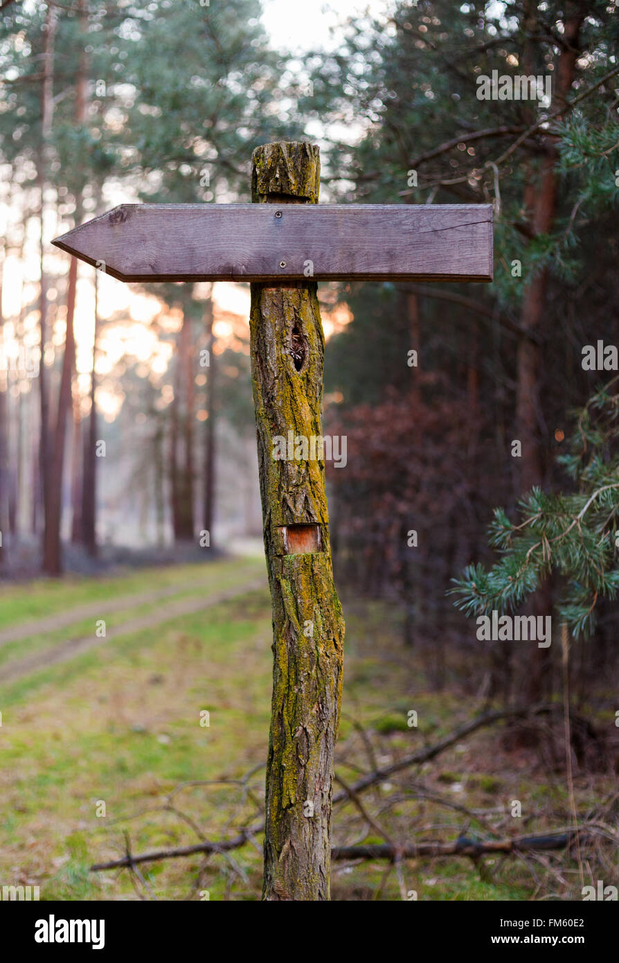 Stock tree hi-res stock photography and images - Alamy
