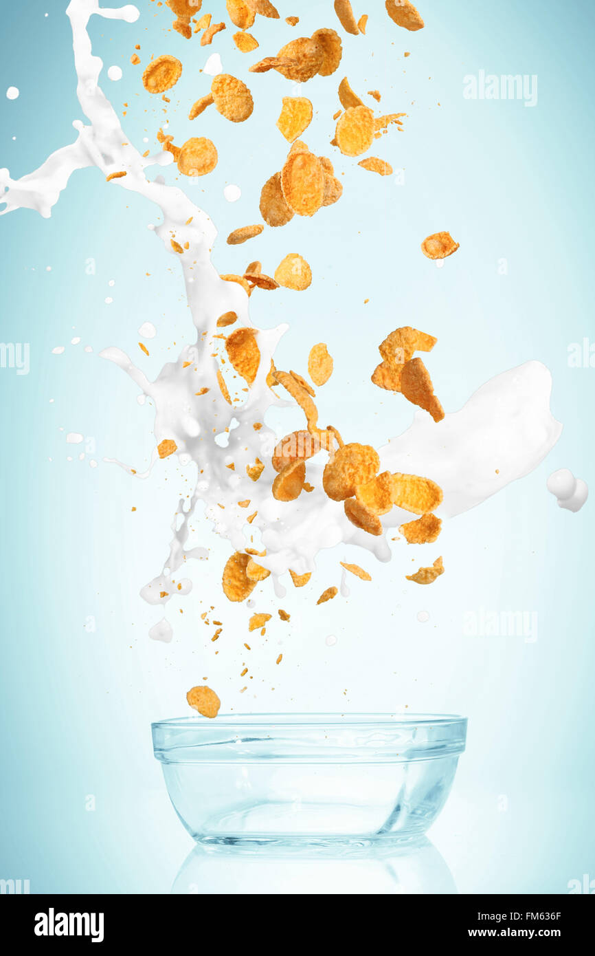 The cornflakes falling with milk stream into an empty glass bowl ...