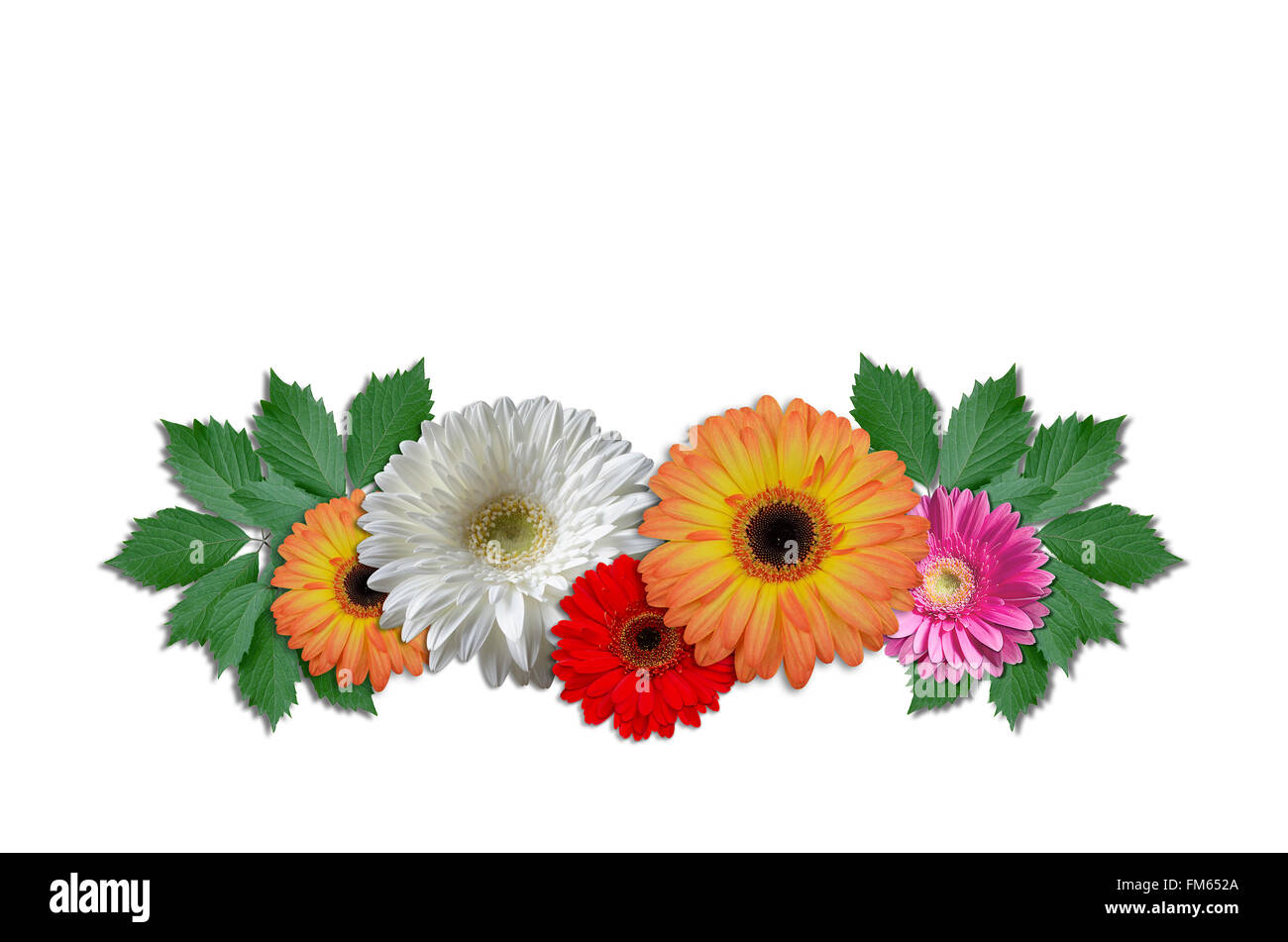 Large orange leaves bright Cut Out Stock Images & Pictures - Alamy