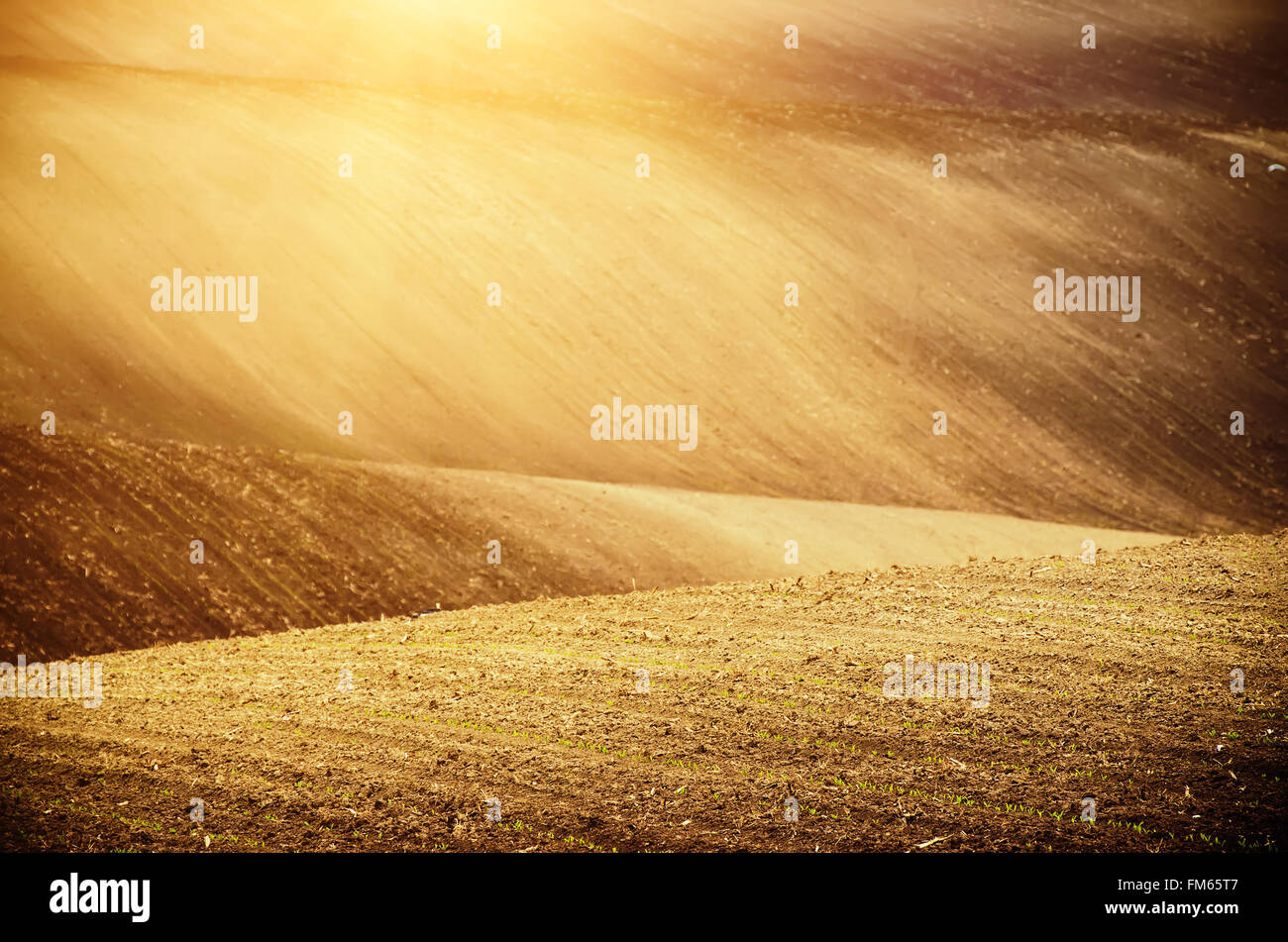Earthy abstract background Stock Photo - Alamy