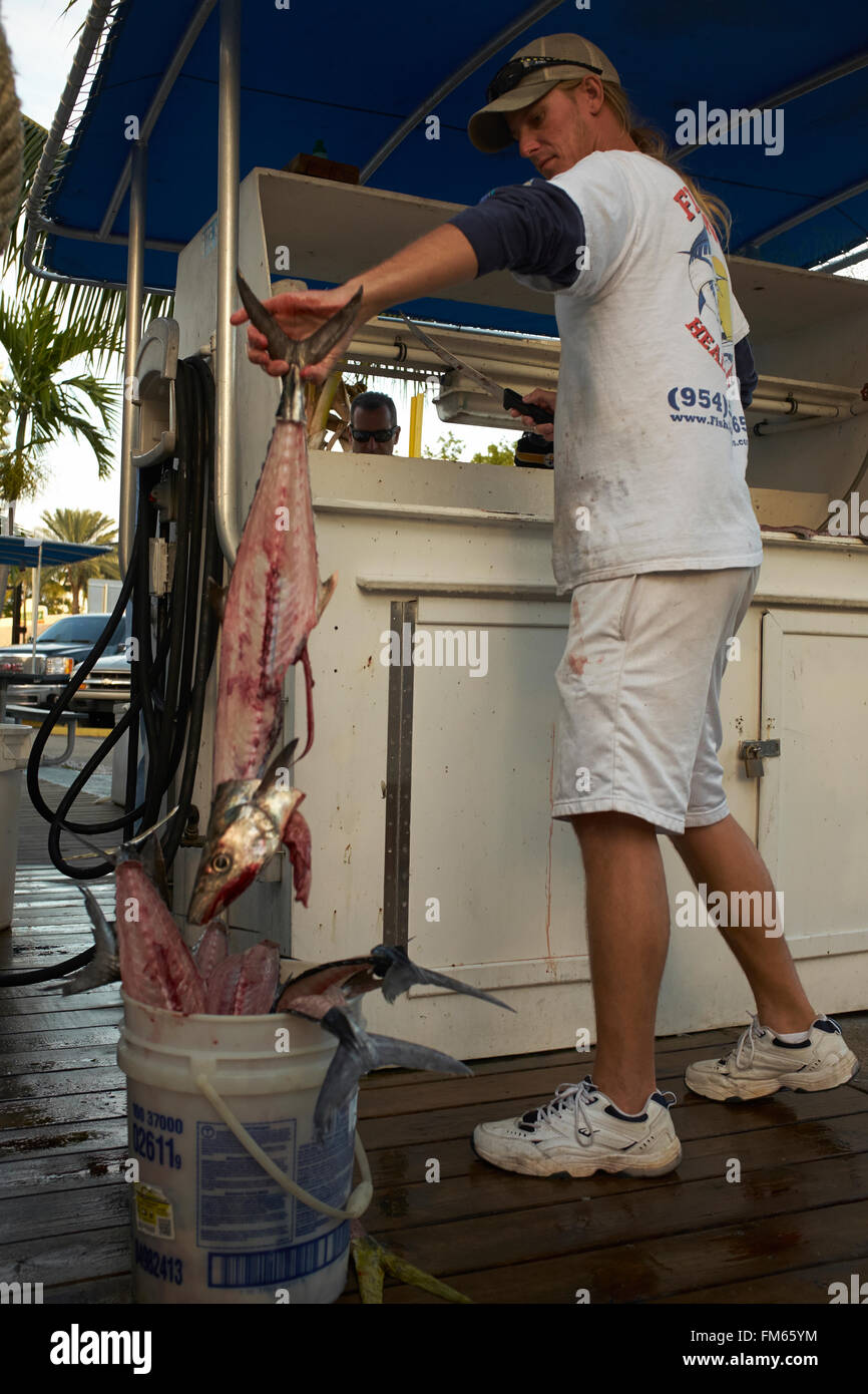 Food waste bucket hi-res stock photography and images - Alamy
