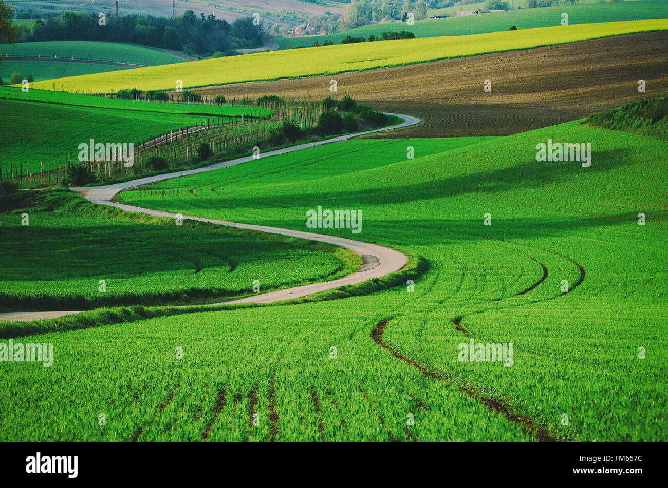 Rural landscape with road Stock Photo - Alamy