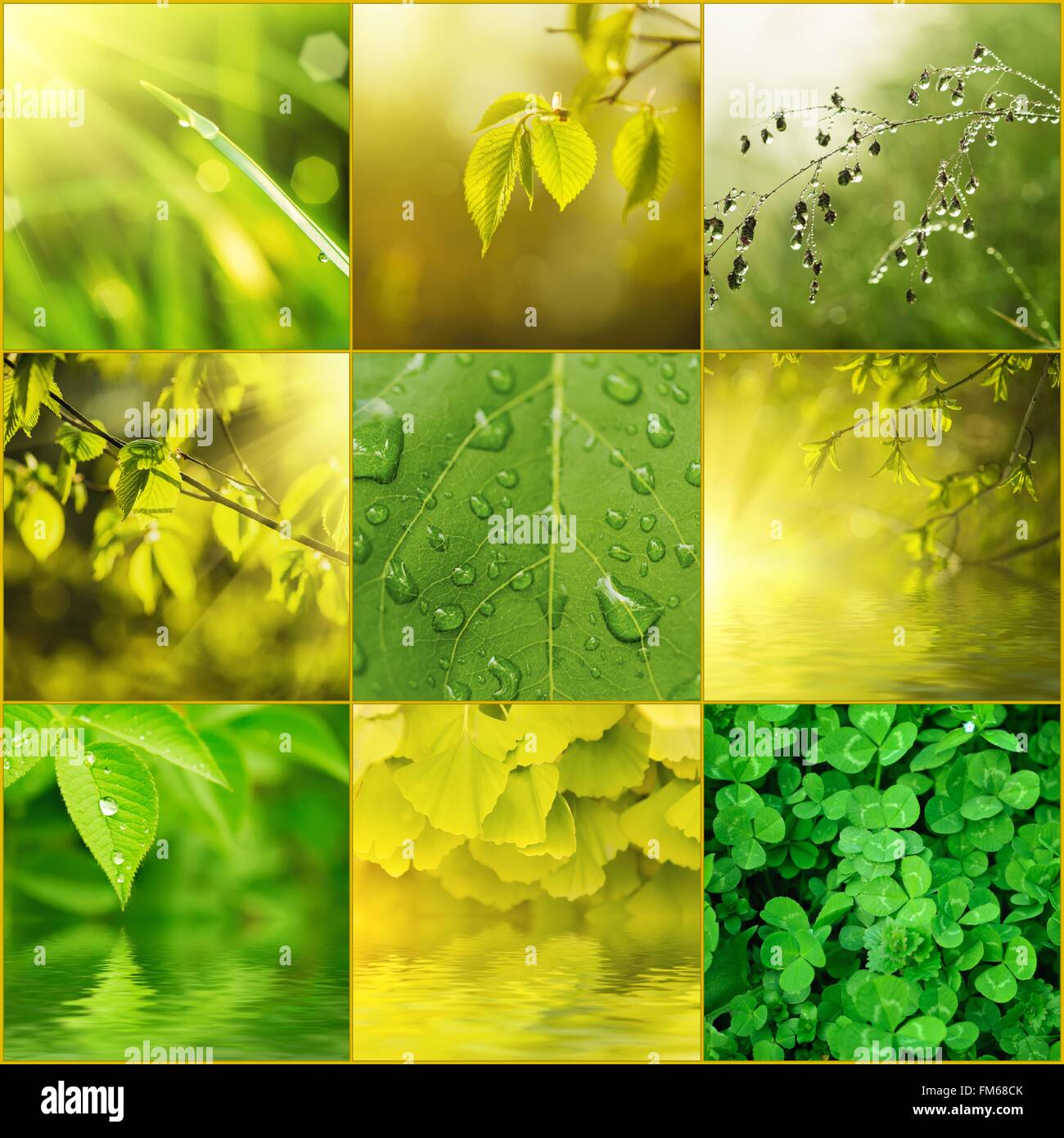 Green eco collage Stock Photo - Alamy