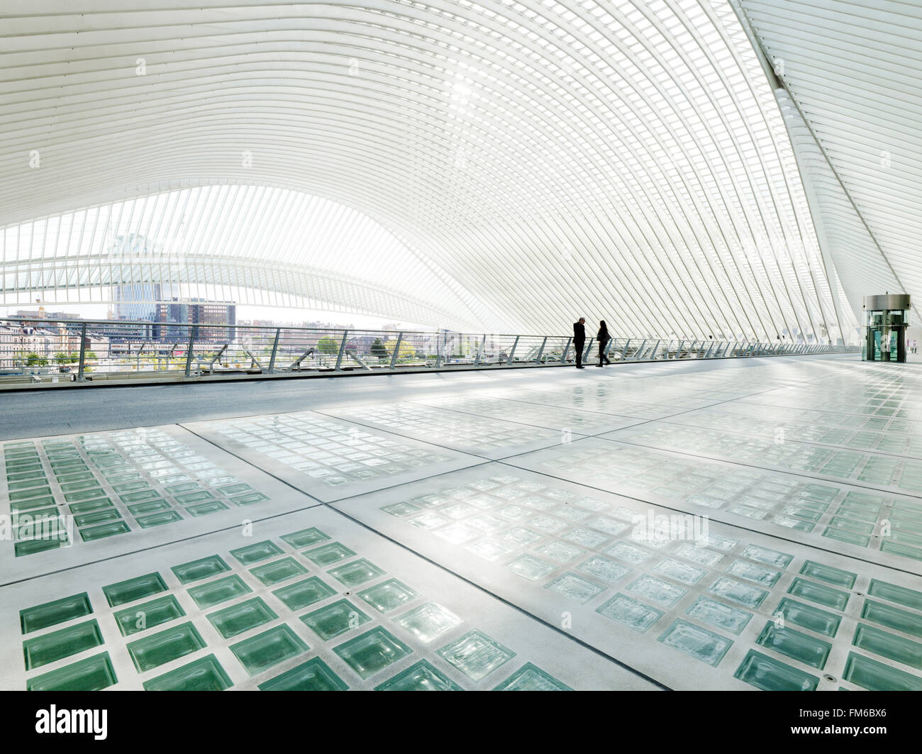 The Liege-Guillemins Railway Station in Liege, designed by Santiago ...
