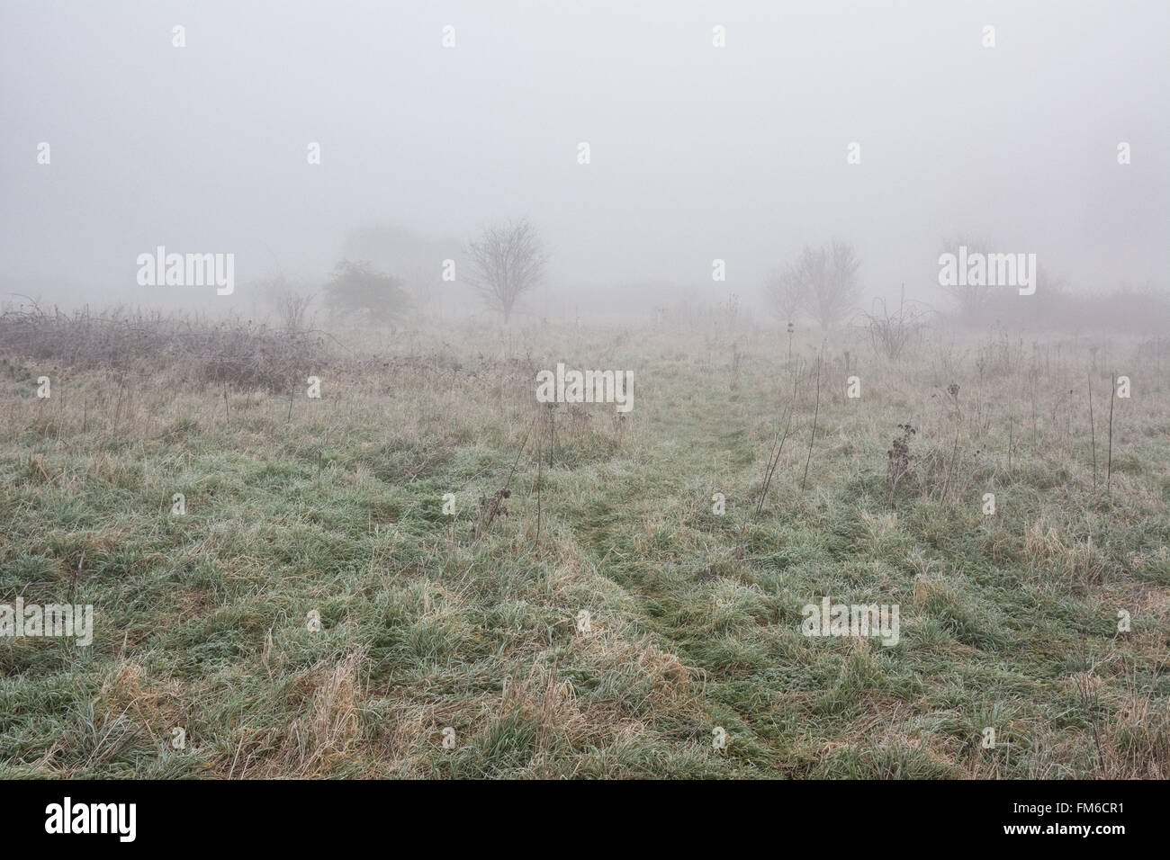 Tottenham marshes hi-res stock photography and images - Alamy