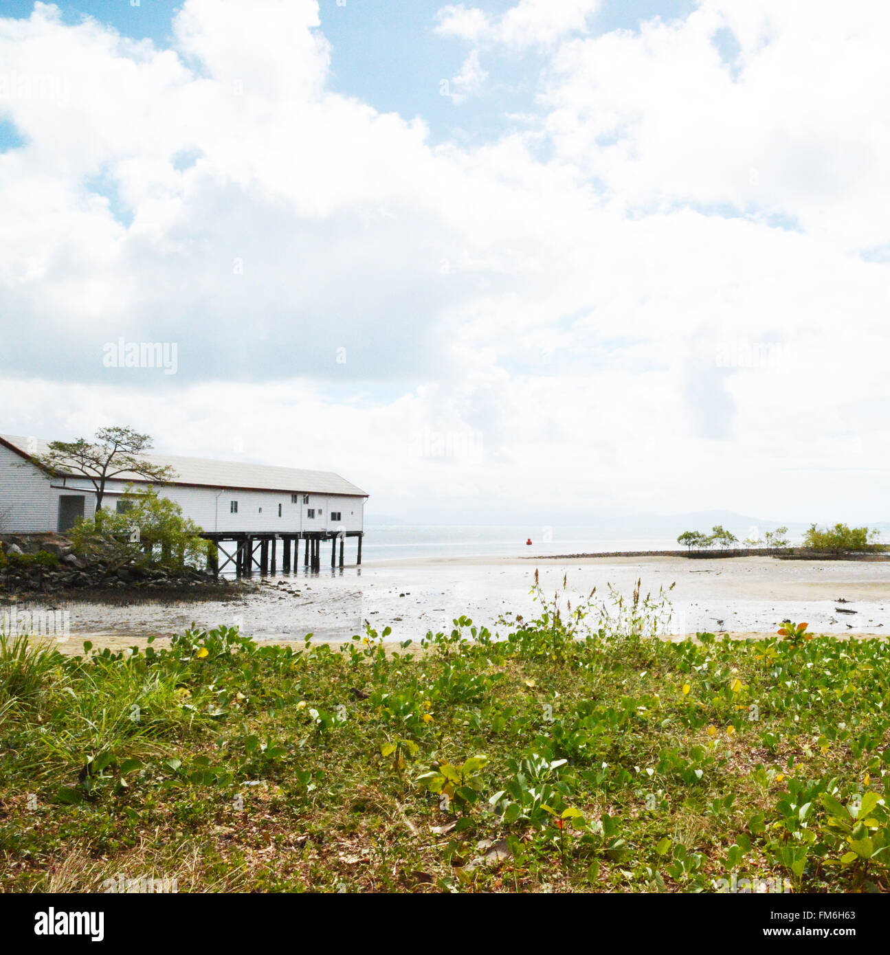 Queensland, Australia. Port Douglas Stock Photo - Alamy