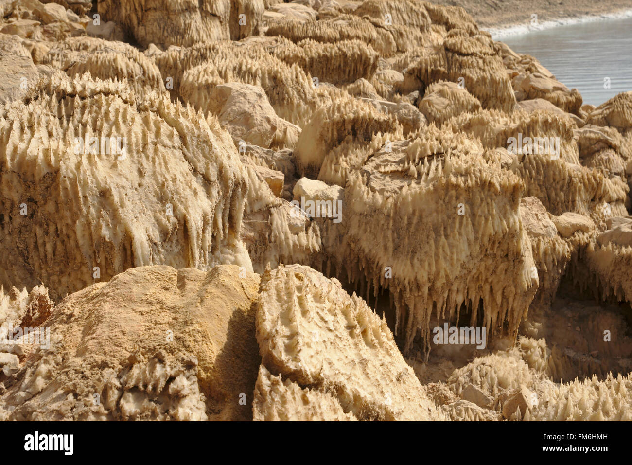 Salt deposits on the shore of the Dead Sea, Wadi Mujib Reserve, Jordan ...