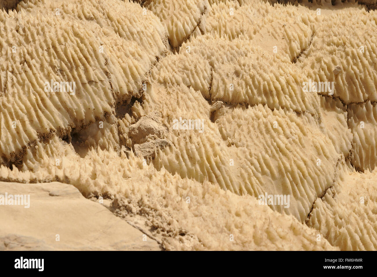 Salt deposits on the shore of the Dead Sea, Wadi Mujib Reserve, Jordan ...