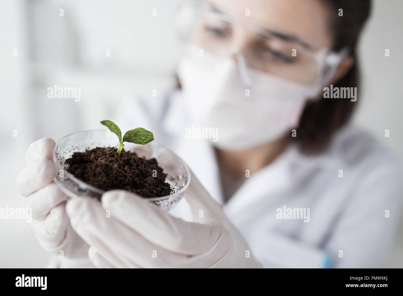 close up of scientist with plant and soil in lab Stock Photo - Alamy