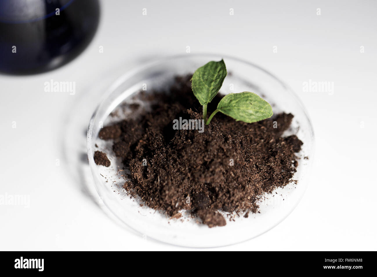 Soil plant hi-res stock photography and images - Alamy