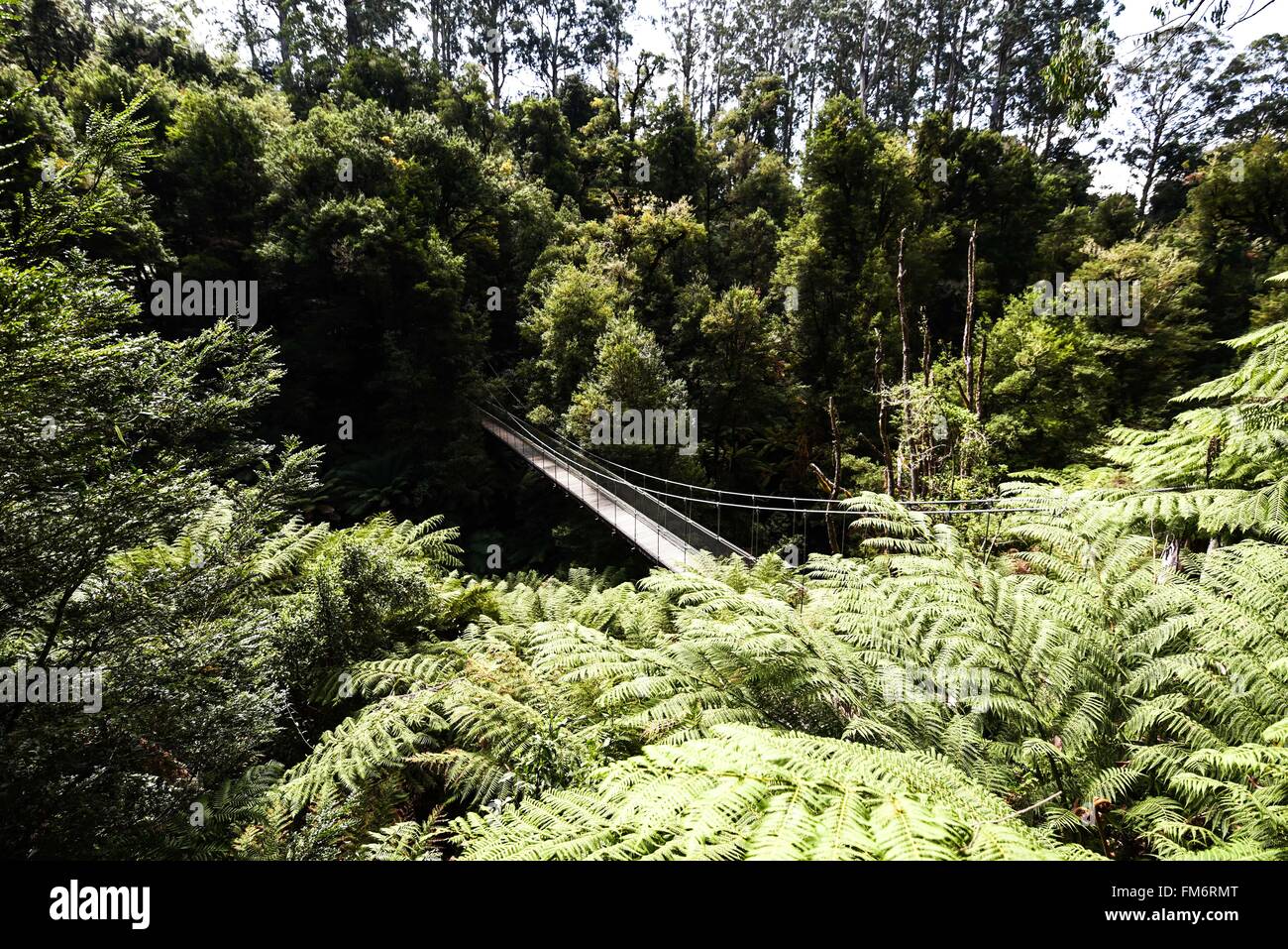 Bulga High Resolution Stock Photography and Images - Alamy