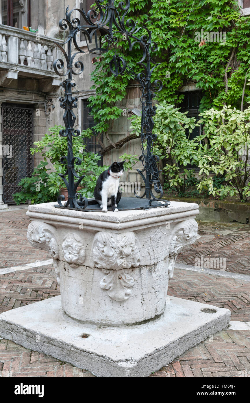 Wellhead courtyard hi-res stock photography and images - Alamy