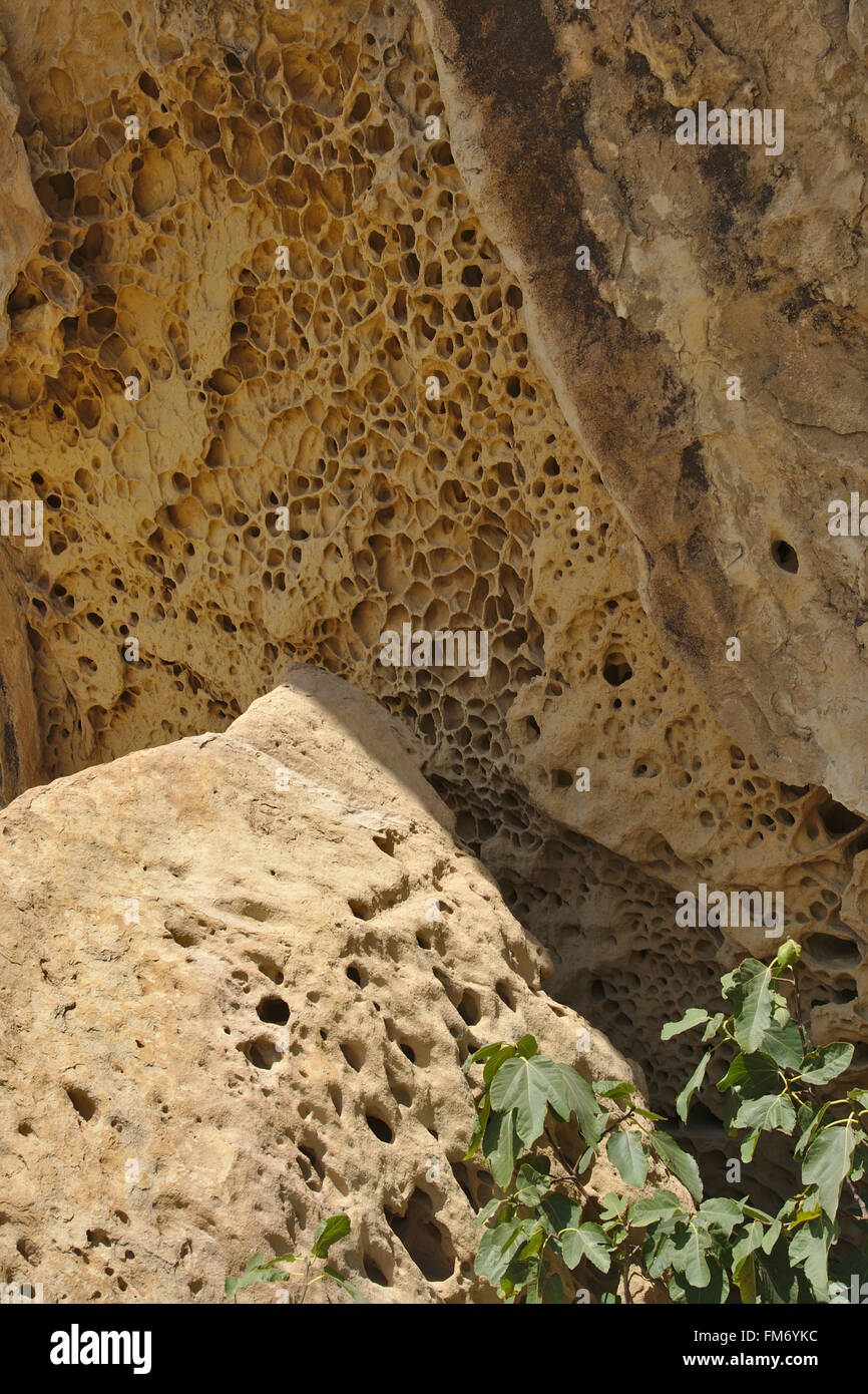 Honeycomb weathering hi-res stock photography and images - Alamy