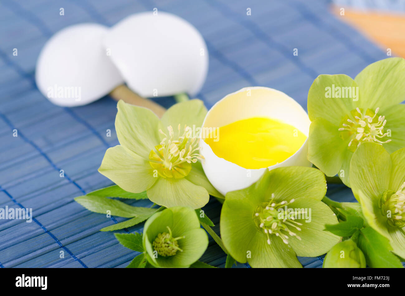Easter decoration with egg shell hellebore flower and pollen on a blue ...