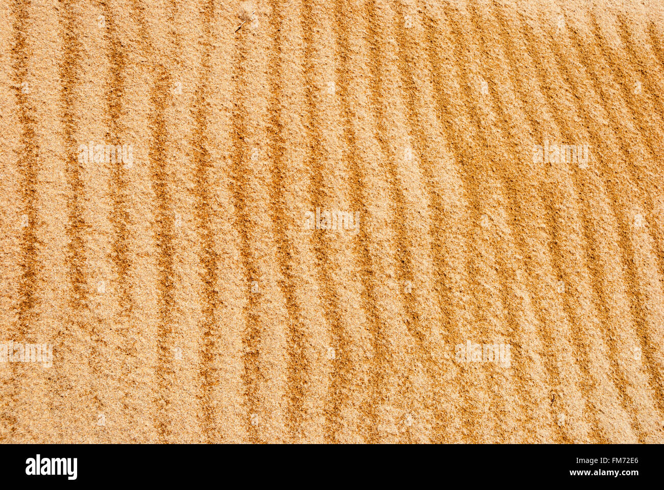 Sandy beach background Stock Photo - Alamy