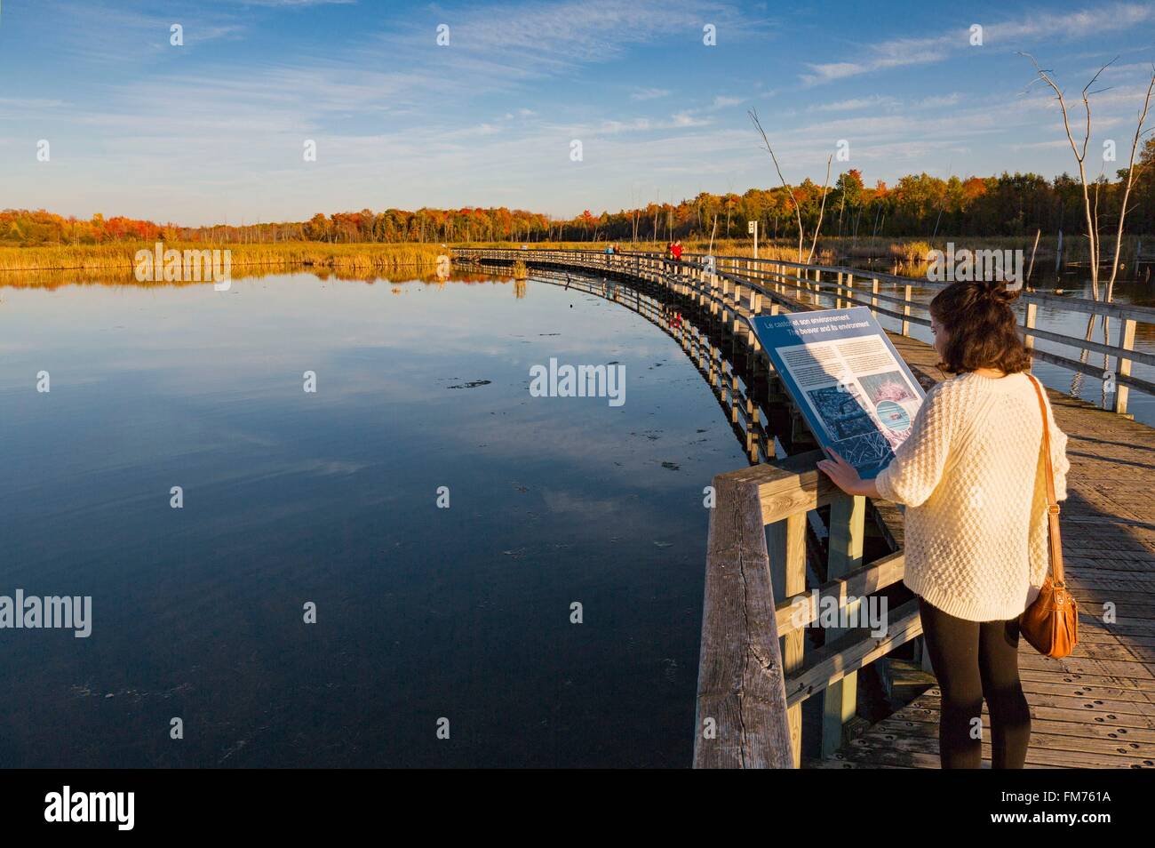 Canada, Quebec province, Montreal, Bizard Island, the Nature Park Bois ...