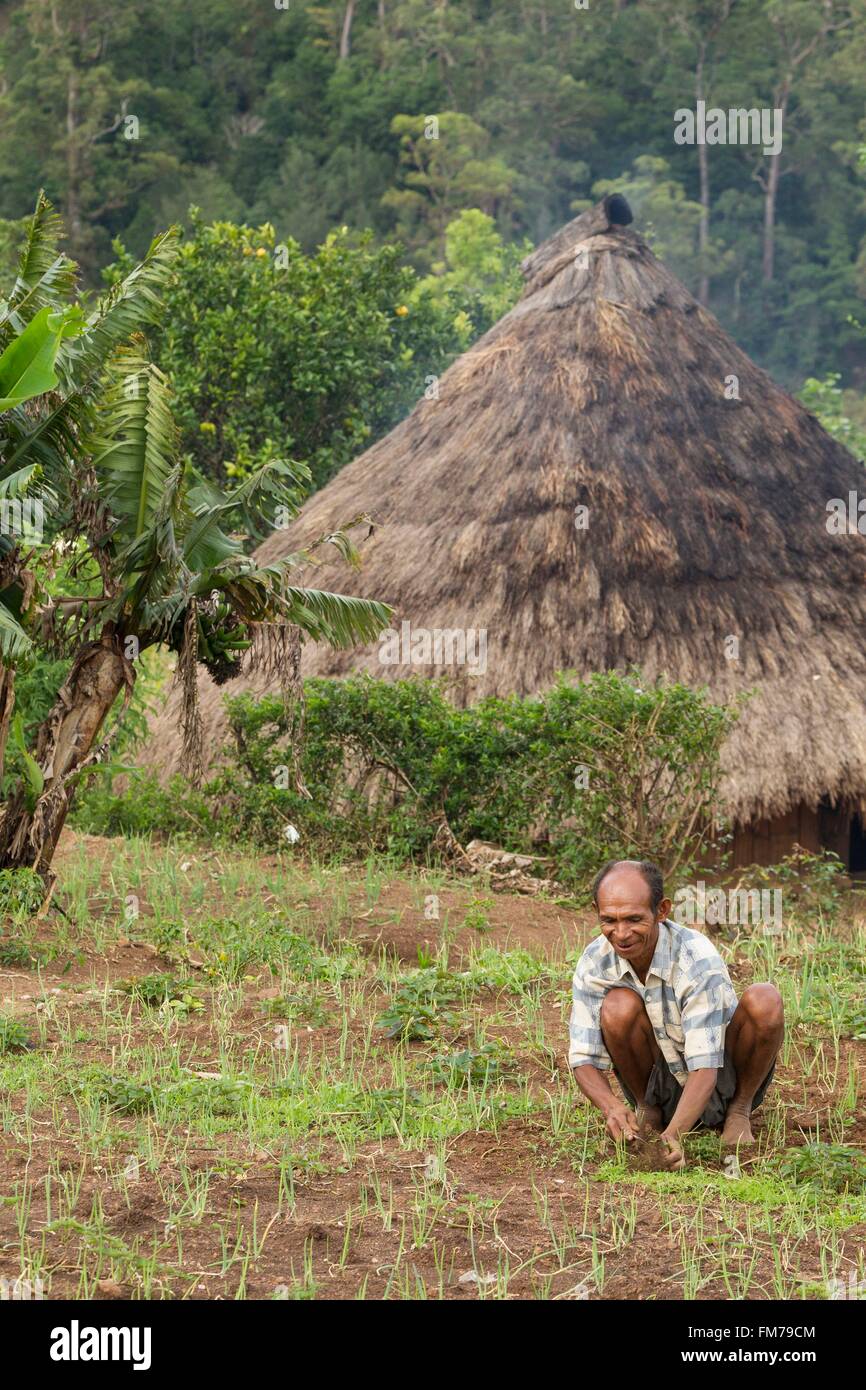 Indonesia, East Nusa Tenggara, West Timor, South Central Timor Regency ...